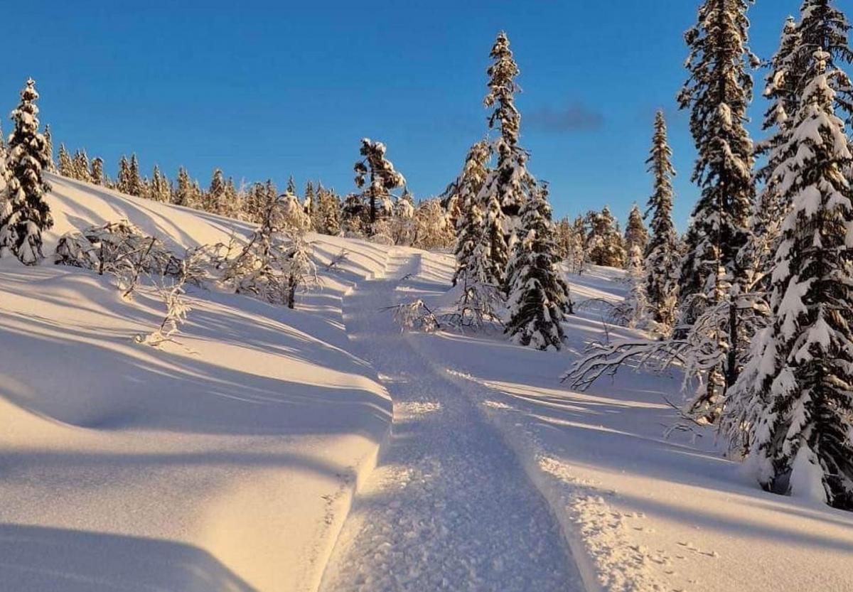 Nyhet til friluftsglade på Norefjell - Visit Norefjell